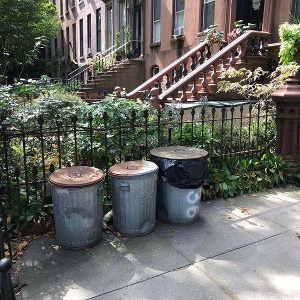 Why the Fixation on Trash? - CITIBIN